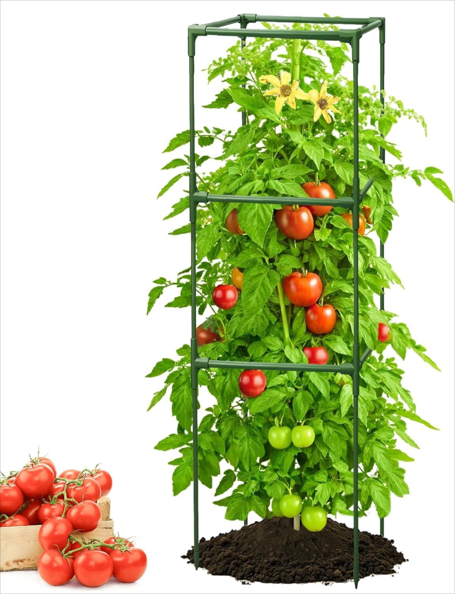 Large trellis stakes and plant support structures for vegetables and ...
