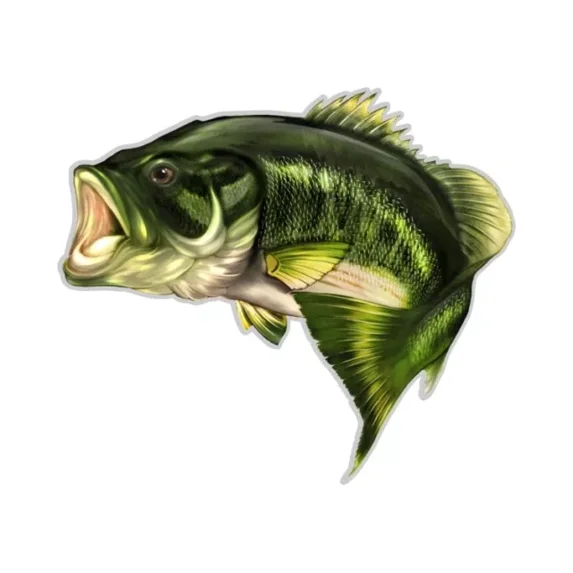 Largemouth Bass Fish Sticker Phone Decal Water Bottle Stickers Car ...