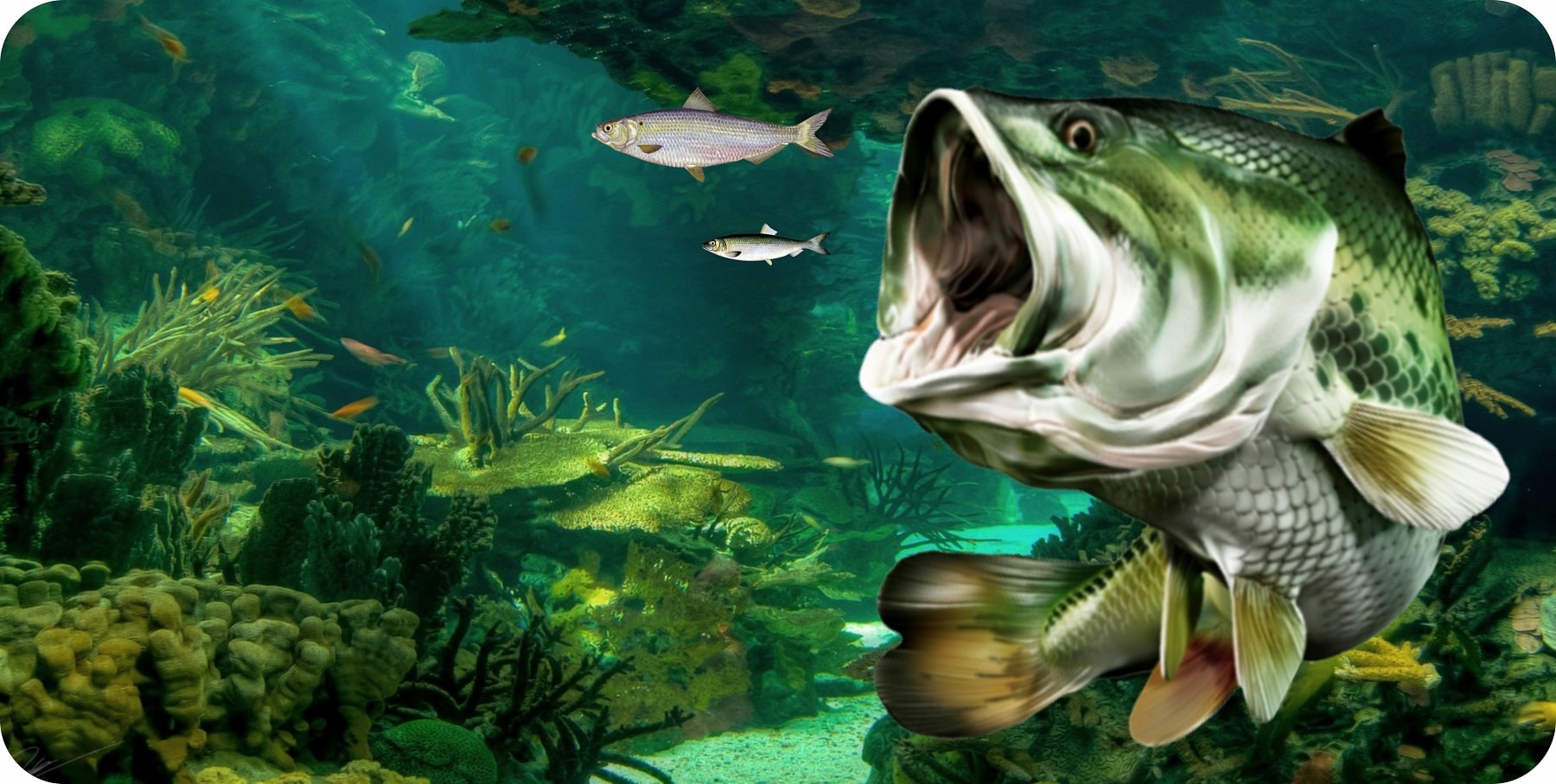 Largemouth Bass Underwater Photo License Plate - Walmart.com