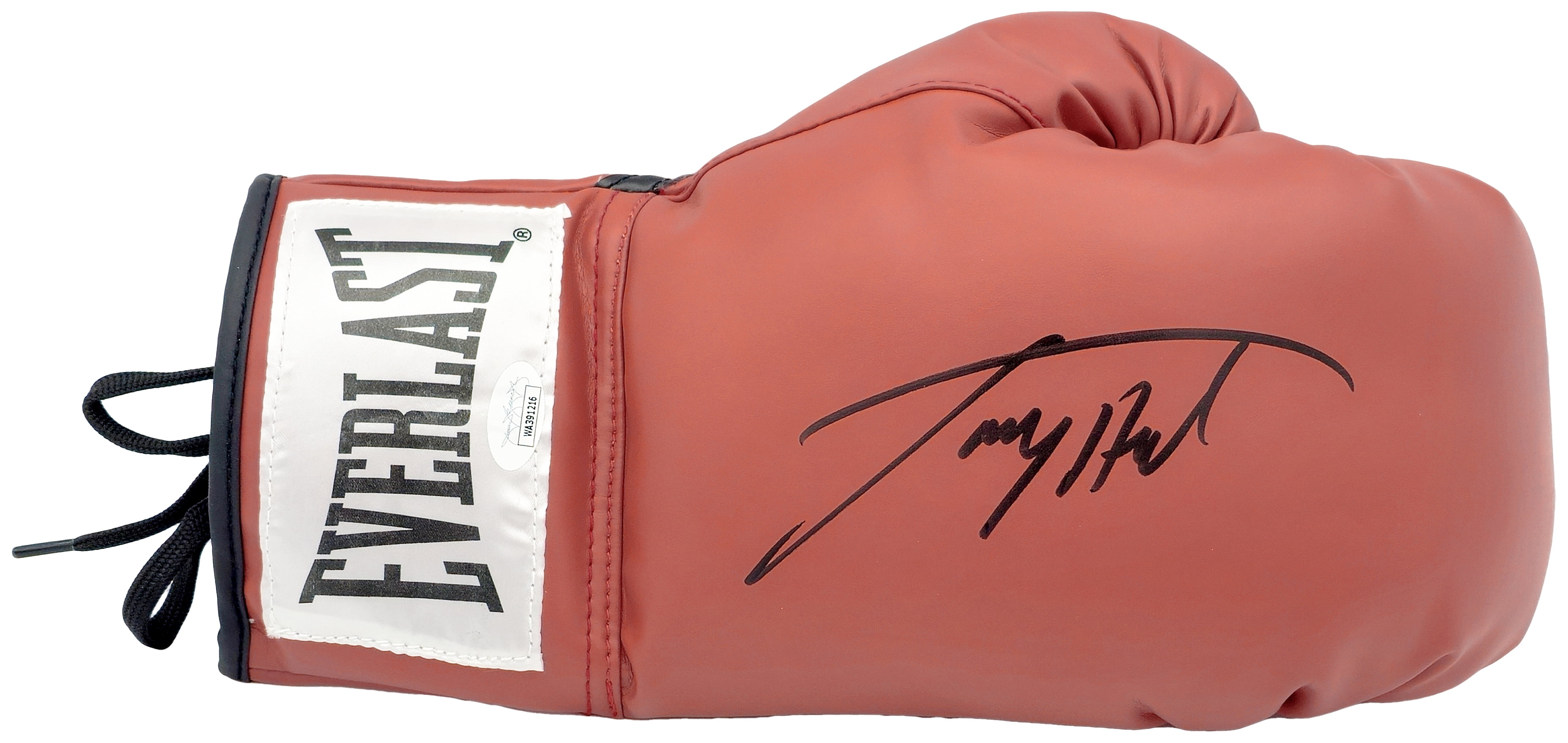 Mike Tyson Boxing Gloves Larry Holmes Signed Everlast Black Boxing ...