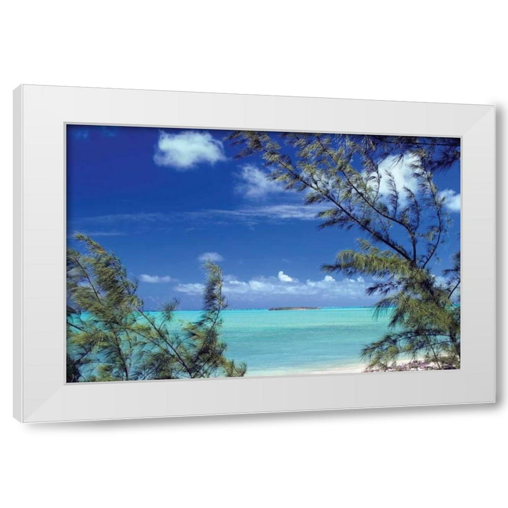 Larry Malvin 14x11 White Modern Wood Framed Wall Art Titled - Pelican ...