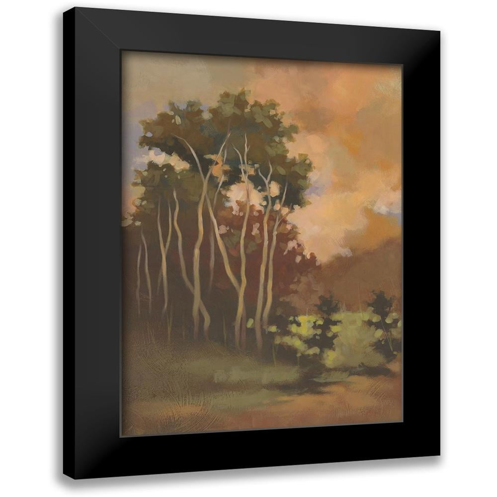 Larson 11x14 Black Modern Framed Museum Art Print Titled - Stillness I ...