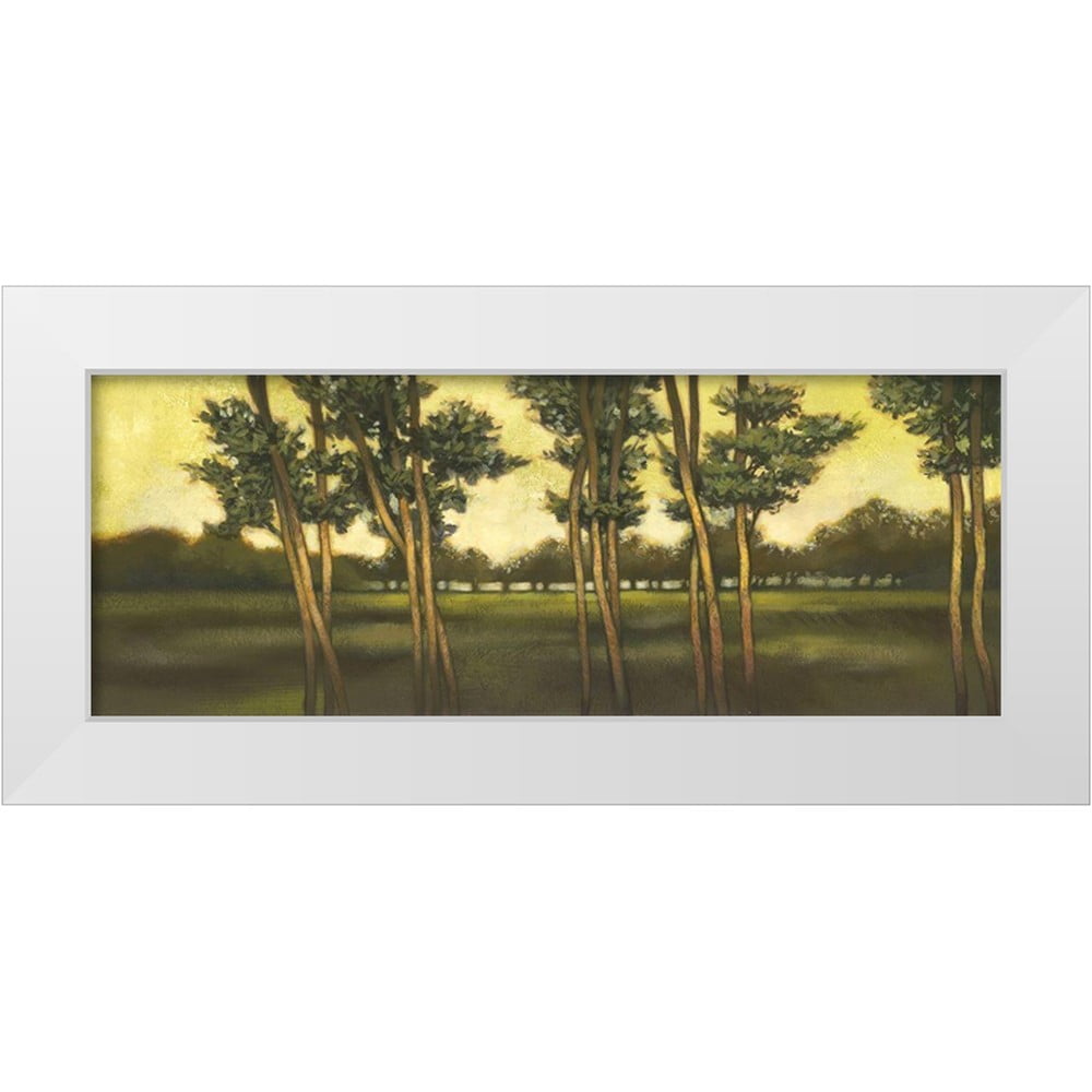 Larson 24x12 White Modern Wood Framed Museum Art Print Titled - Beyond ...