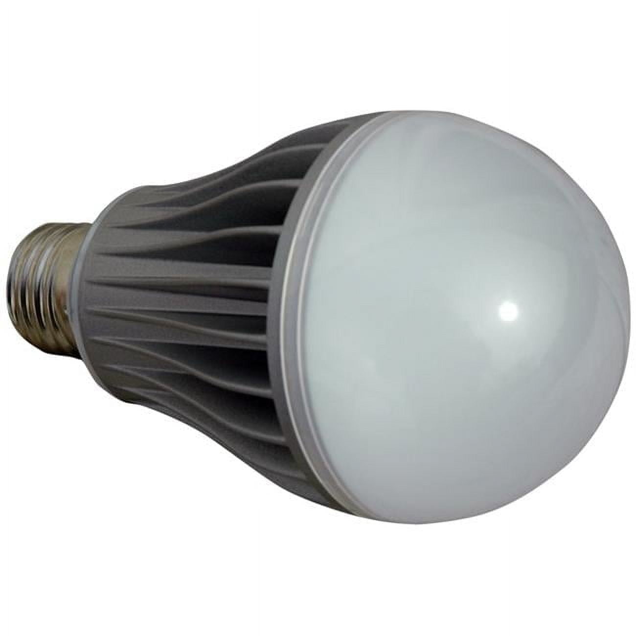 Larson Electronics LED-A19-10-E26-1227VAC-RED 120 - 277V AC Directional ...