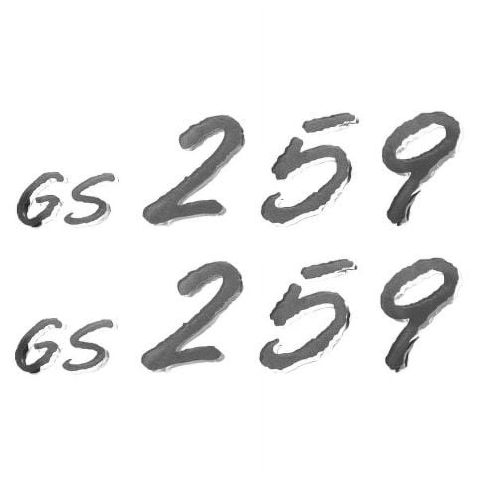 Larson Glastron Boat GS 259 Decals | 10 x 2 5/8 In Black Silver (Pair ...