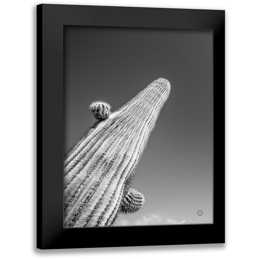 Larson, Nathan 15x18 Black Modern Framed Museum Art Print Titled - King ...