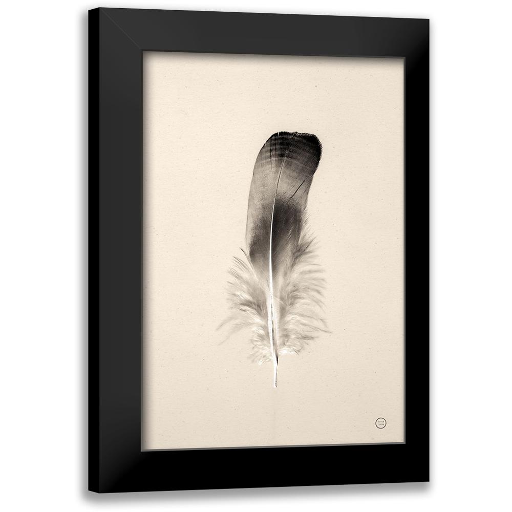 Larson, Nathan 17x24 Black Modern Framed Museum Art Print Titled ...