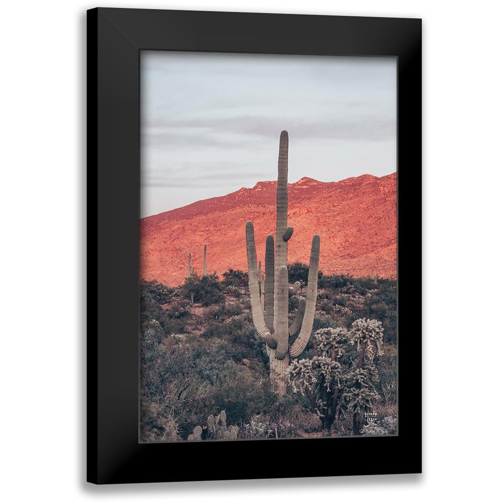 Larson, Nathan 17x24 Black Modern Framed Museum Art Print Titled ...