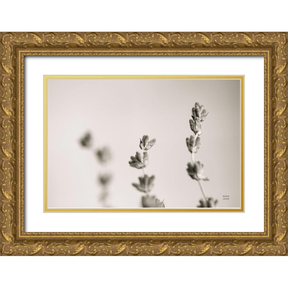 Larson, Nathan 18x13 Gold Ornate Wood Framed with Double Matting Museum ...