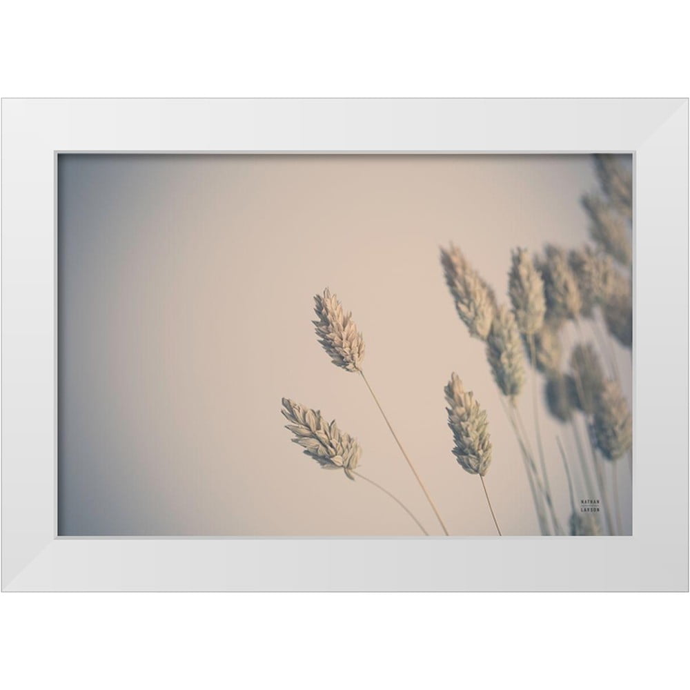 Larson, Nathan 18x13 White Modern Wood Framed Museum Art Print Titled - Dried Grass Study ...