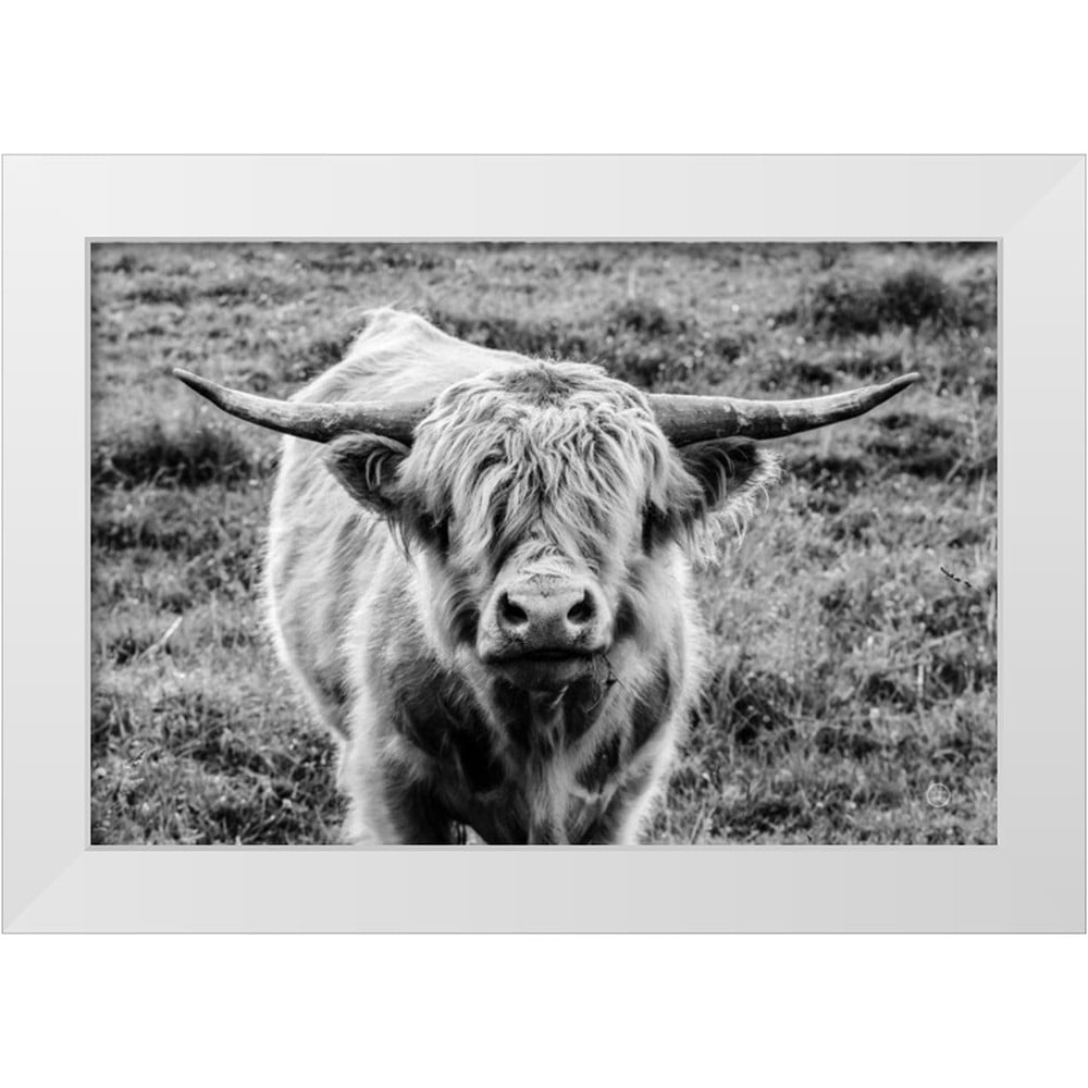 Larson, Nathan 24x17 White Modern Wood Framed Museum Art Print Titled ...