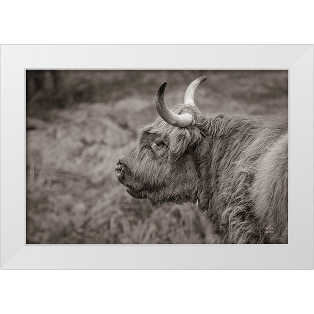 Larson, Nathan 24x17 White Modern Wood Framed Museum Art Print Titled ...