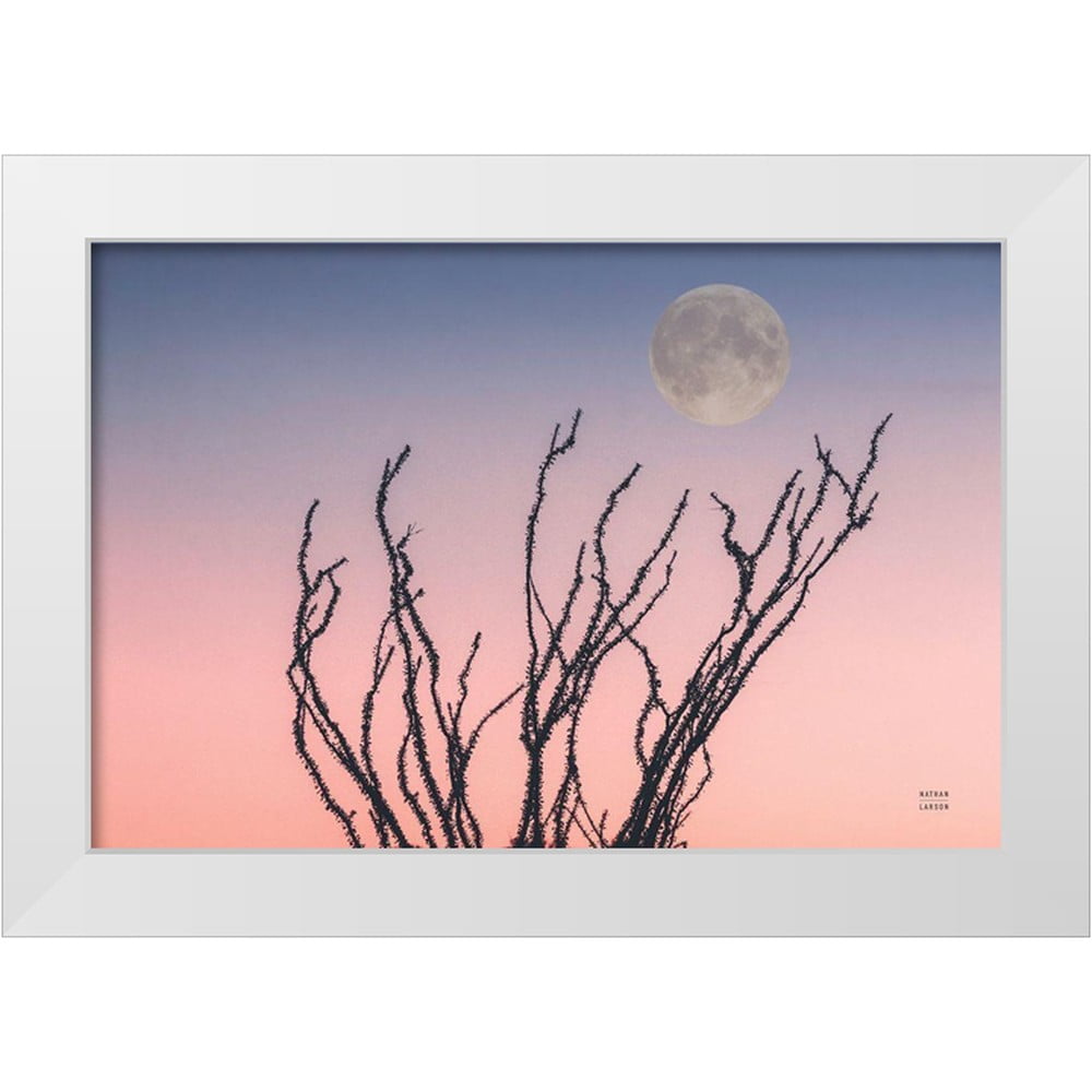Larson, Nathan 32x23 White Modern Wood Framed Museum Art Print Titled ...