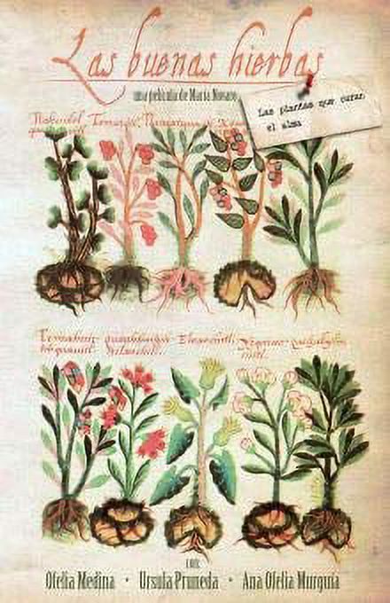 Las Buenas Hierbas Spanish Movie DVD With English Subtitles by Maria ...