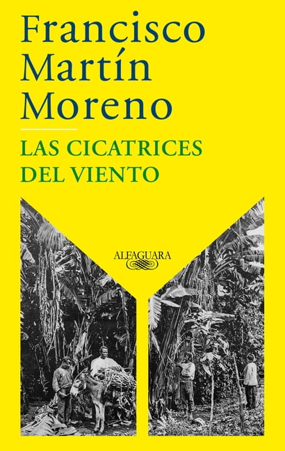 Las Cicatrices del Viento / The Scars of the Wind, (Paperback ...