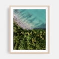 Las Terrenas Samaná Province Dominican Republic Tropical Beach Palm ...