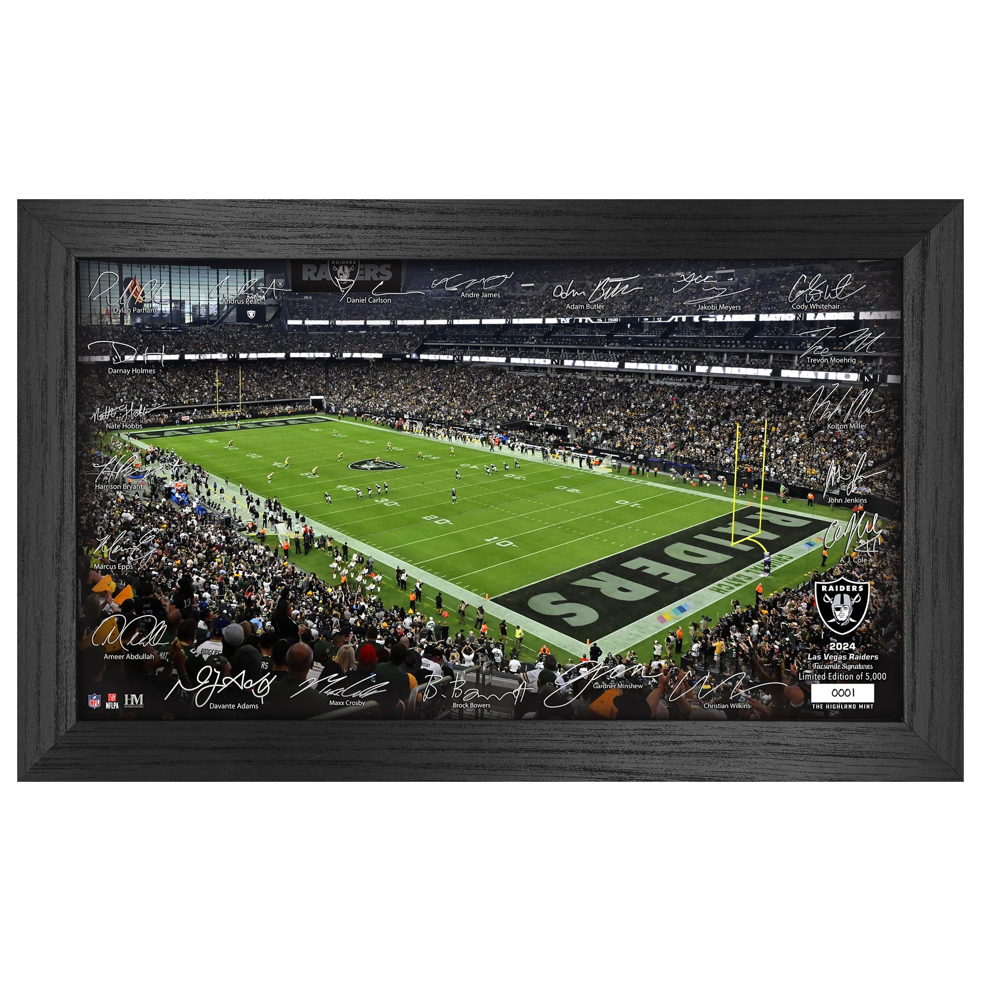 Highland Mint Las Vegas Raiders 12" x 20" 2024 Signature Gridiron ...