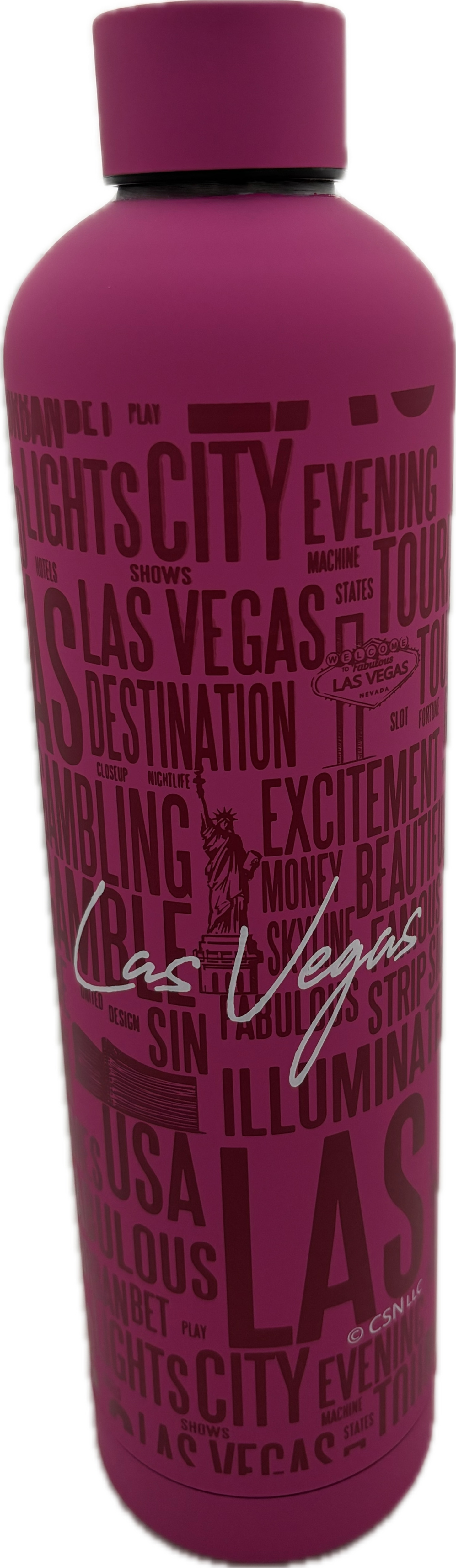Las Vegas Stainless Steel Word Collage Water Bottle (PINK) - Walmart.com
