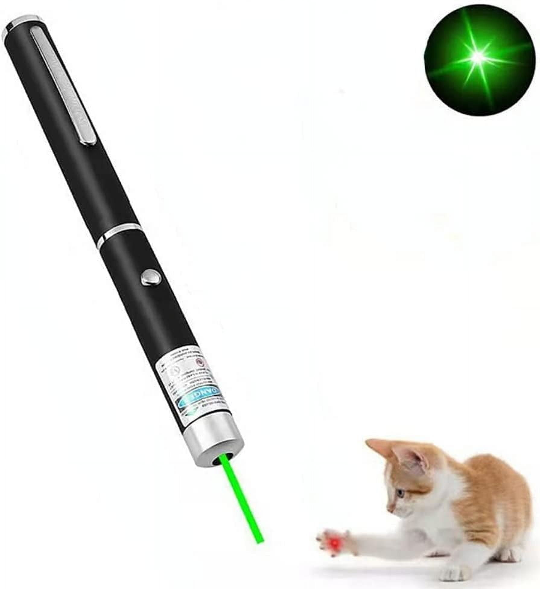 Laser Pointer for Cats Dogs Pet Interactive Toys Laser Presentation ...