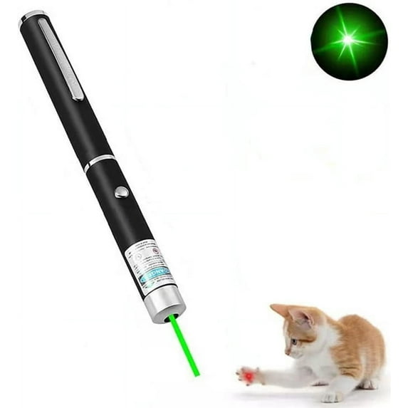 Laser Pointer for Cats Dogs Pet Interactive Toys Laser Presentation ...