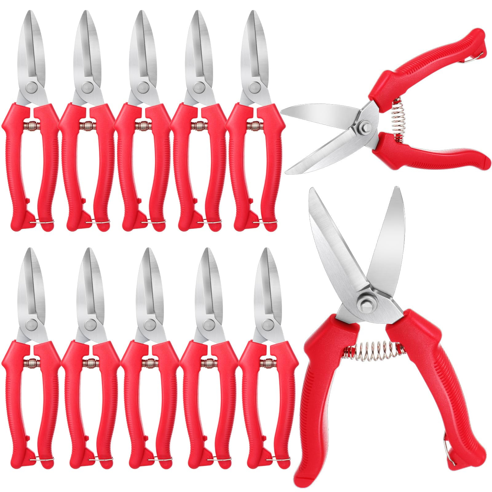 Lasnten 12 Plants Flowers Fruits Vegetables C3 Pcs 7.5" Garden Flower ...