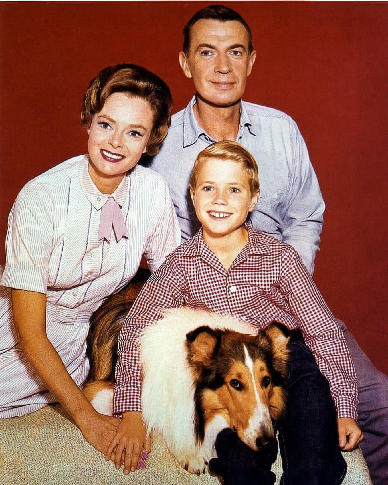 Lassie 24X36 Classic Hollywood Poster TV Series Cast Portrait - Walmart.com