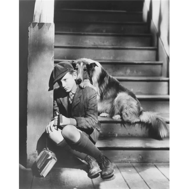 Lassie Come Home Photo Print, 16 x 20 - Large - Walmart.com