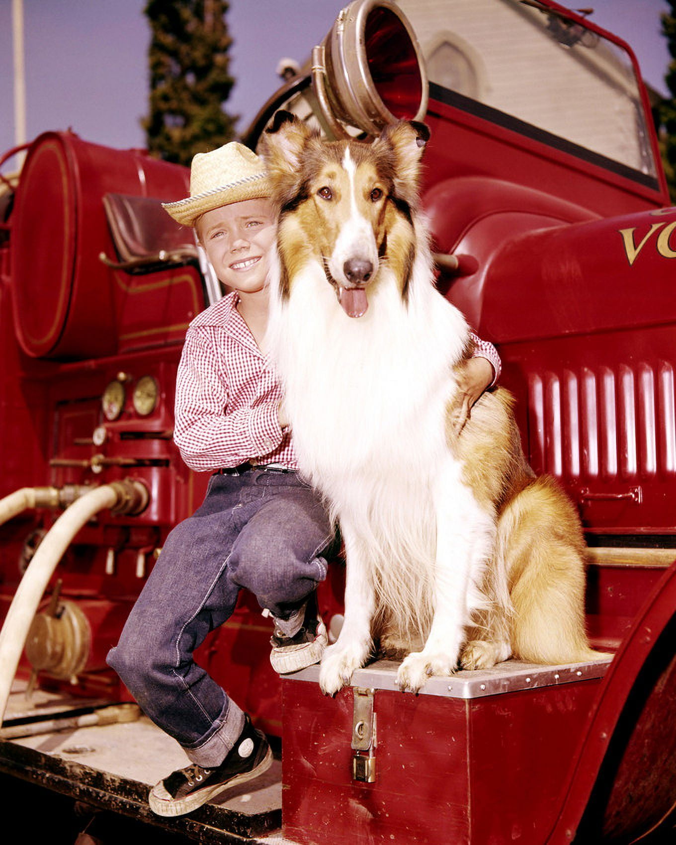 Lassie Featuring Jon Provost 24X36 Classic Hollywood Poster - Walmart.com