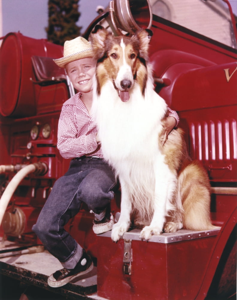 Lassie Portrait with A Boy posed on Red Car Photo Print (8 x 10 ...