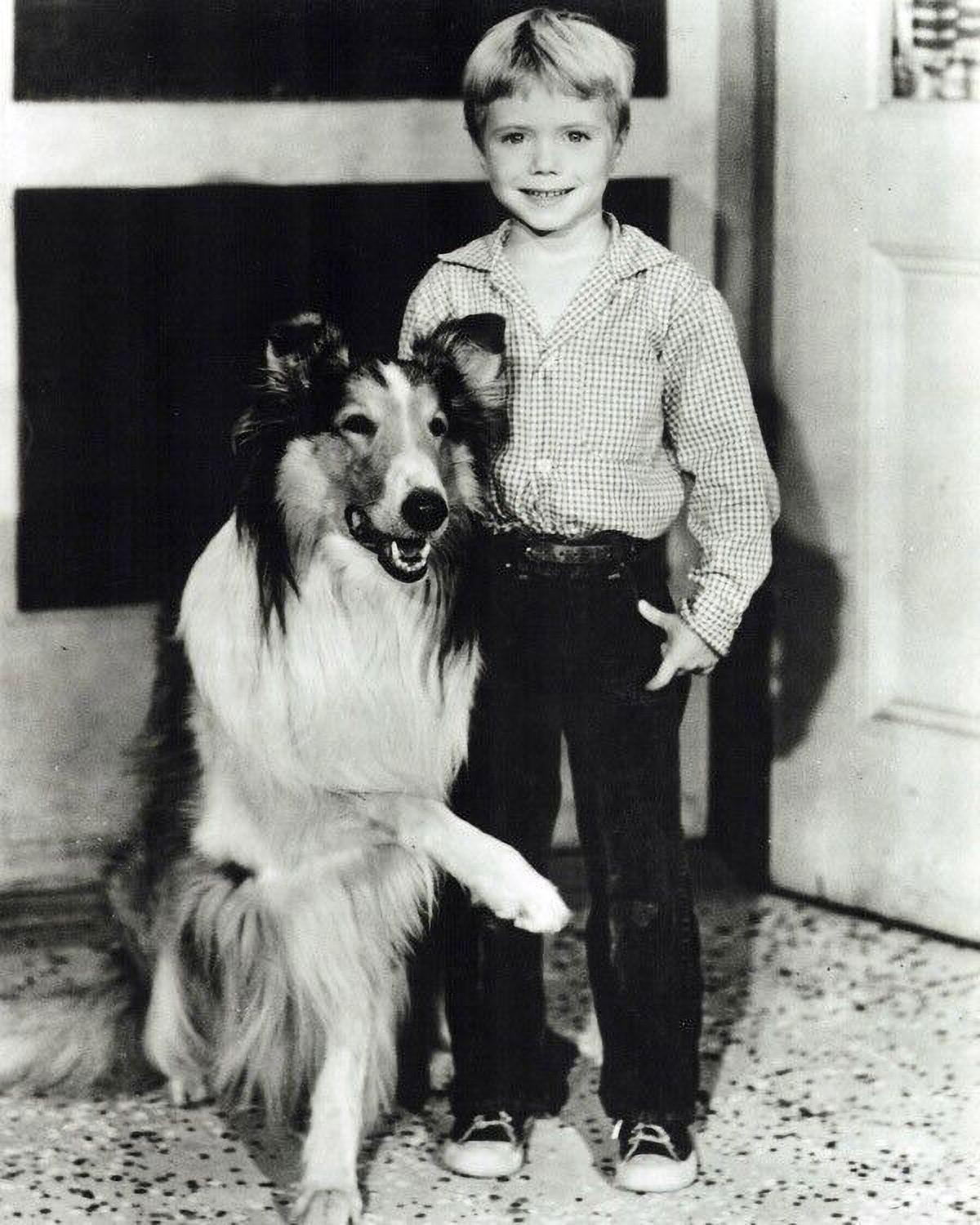 Lassie TV series Jon Provost poses with Lassie the dog 8x10 inch photo - Walmart.com