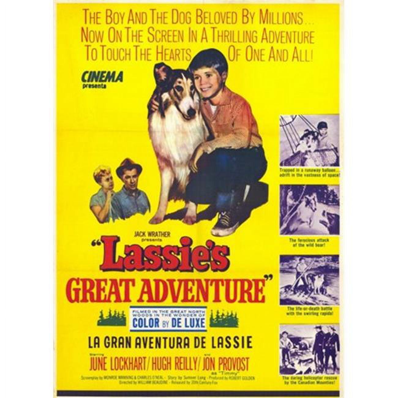 Lassie's Great Adventure Movie Poster 11 x 17 in. - Walmart.com