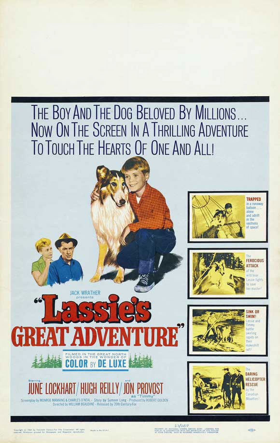Lassie's Great Adventure - movie POSTER (Style C) (27" x 40") (1963 ...