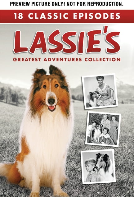 Lassie's Greatest Adventures Collection (DVD Set) [DVD] - Walmart.com