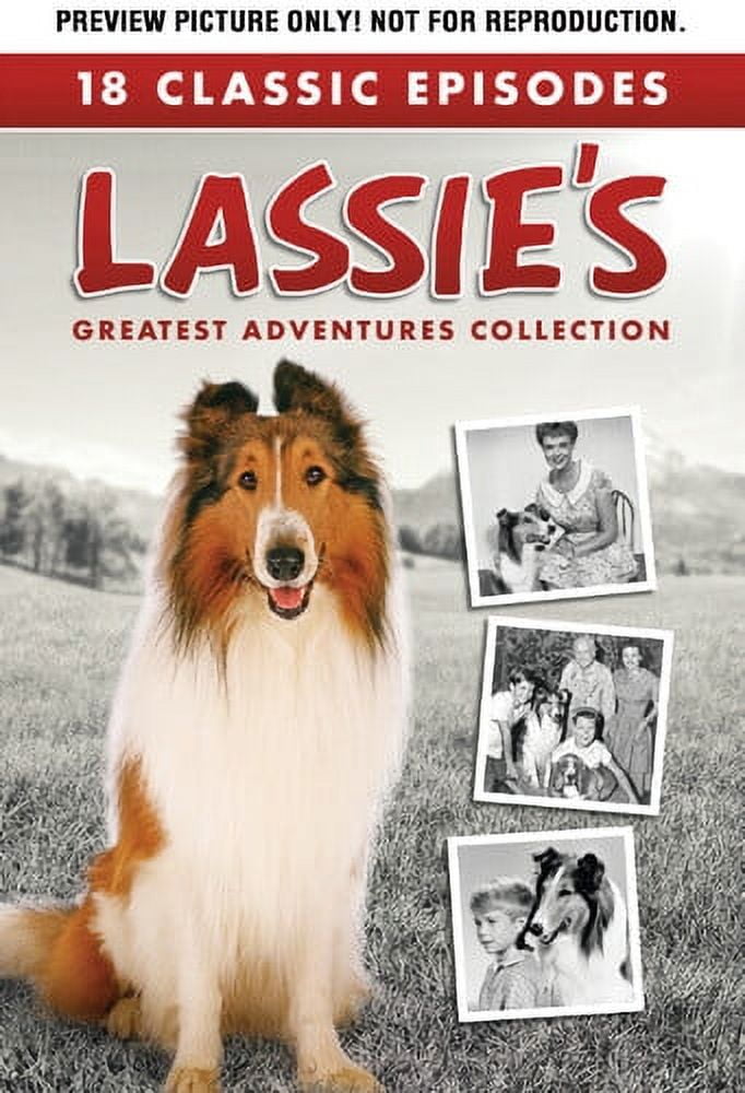 Lassie's Greatest Adventures Collection (DVD), Universal Studios, Drama ...