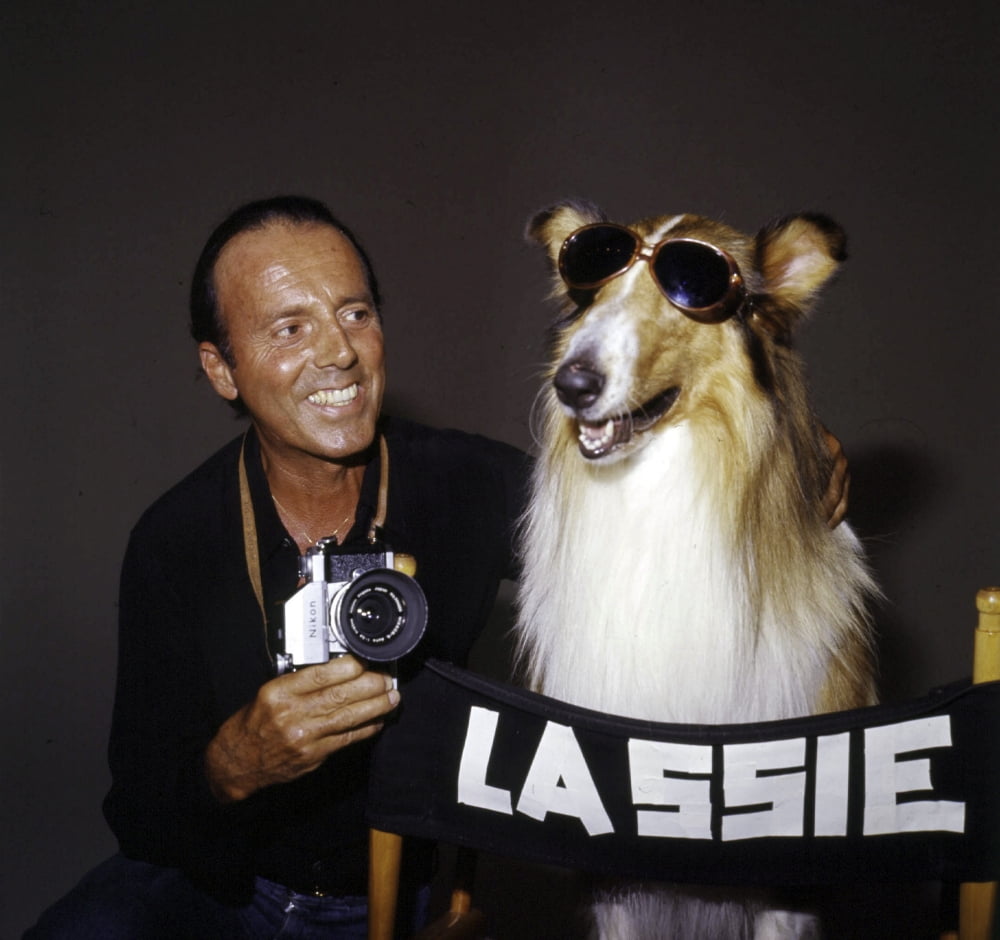 Lassie with Francesco Scavullo Photo Print (10 x 8) - Walmart.com