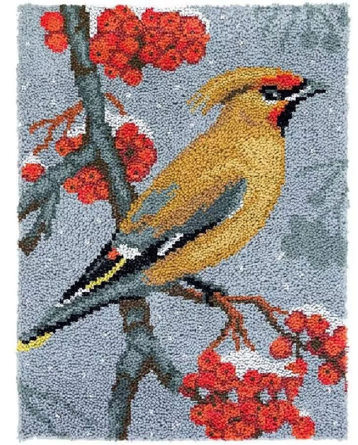 Latch Hook Craft Kit Large for Beginners Embroidery Latch Hook Rug DIY ...