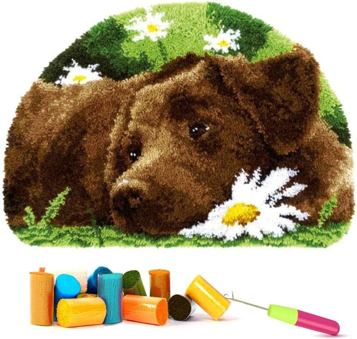 Latch Hook Kits for Adults - DIY Latch Hook Rug Kits for Kids, Crochet ...