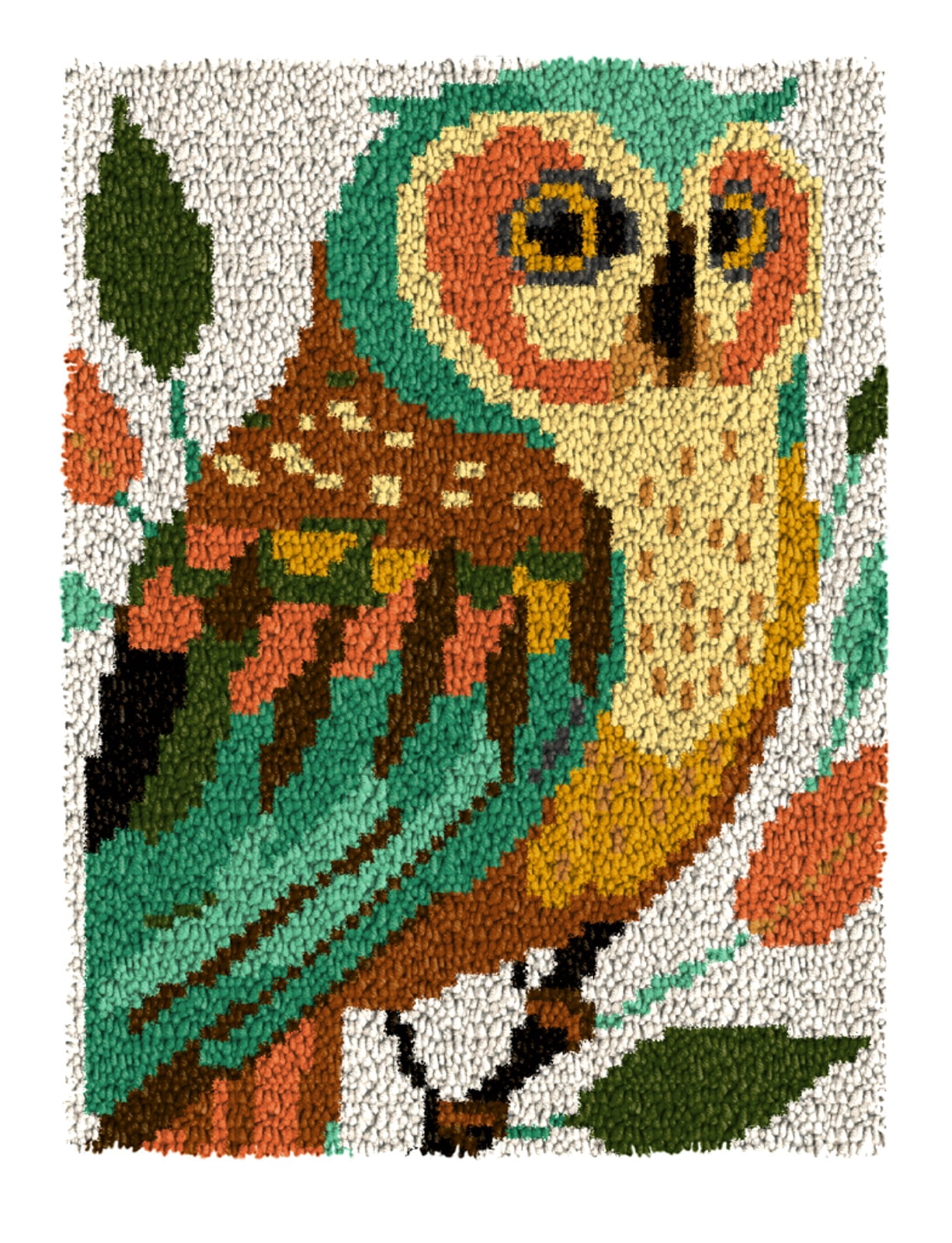 Latch Hook Kits for Adults Kids,Owl Pattern Color Printed Canvas DIY ...
