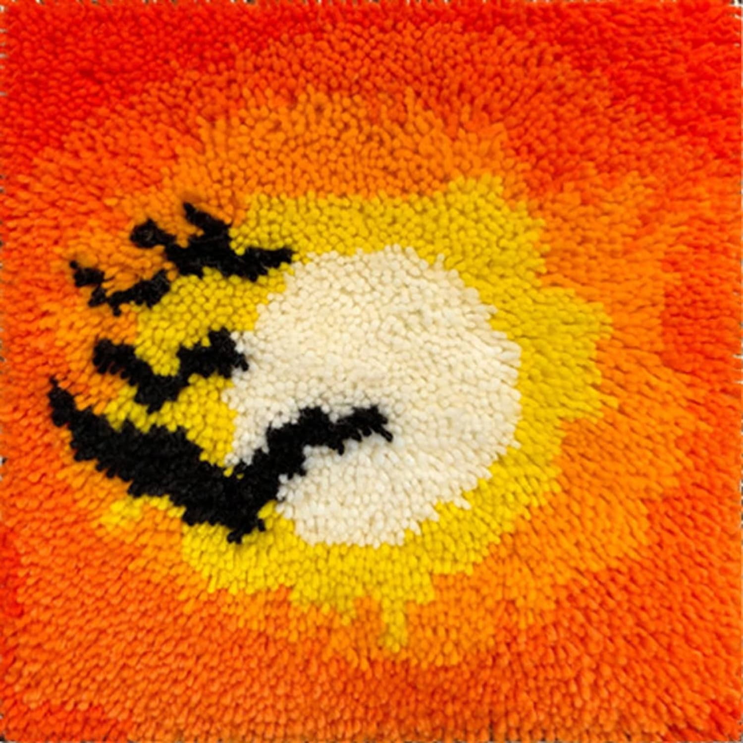 Latch Hook Kits for Kids 12x12in Girl Beginner Classic Beginner Needle ...