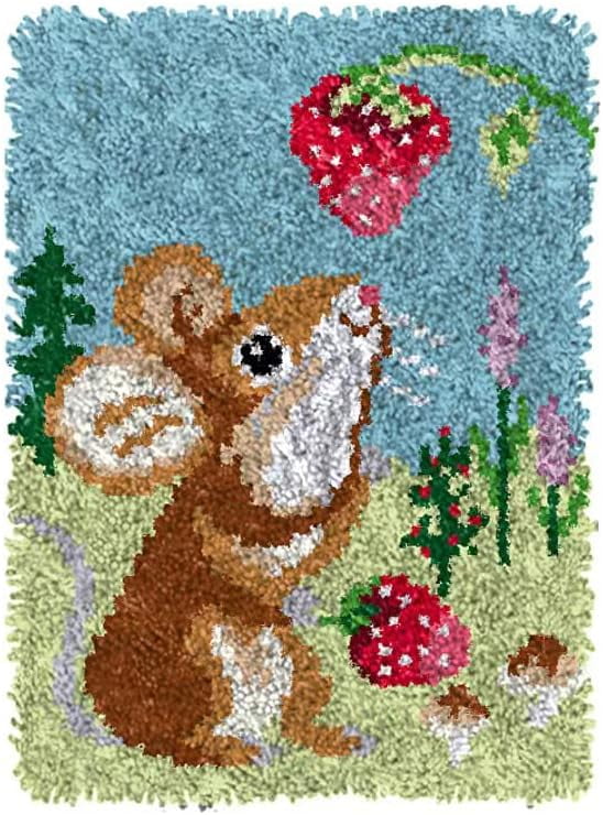 Latch Hook Kits for Adults DIY Crochet Yarn Rugs Hooking Craft Kit with ...