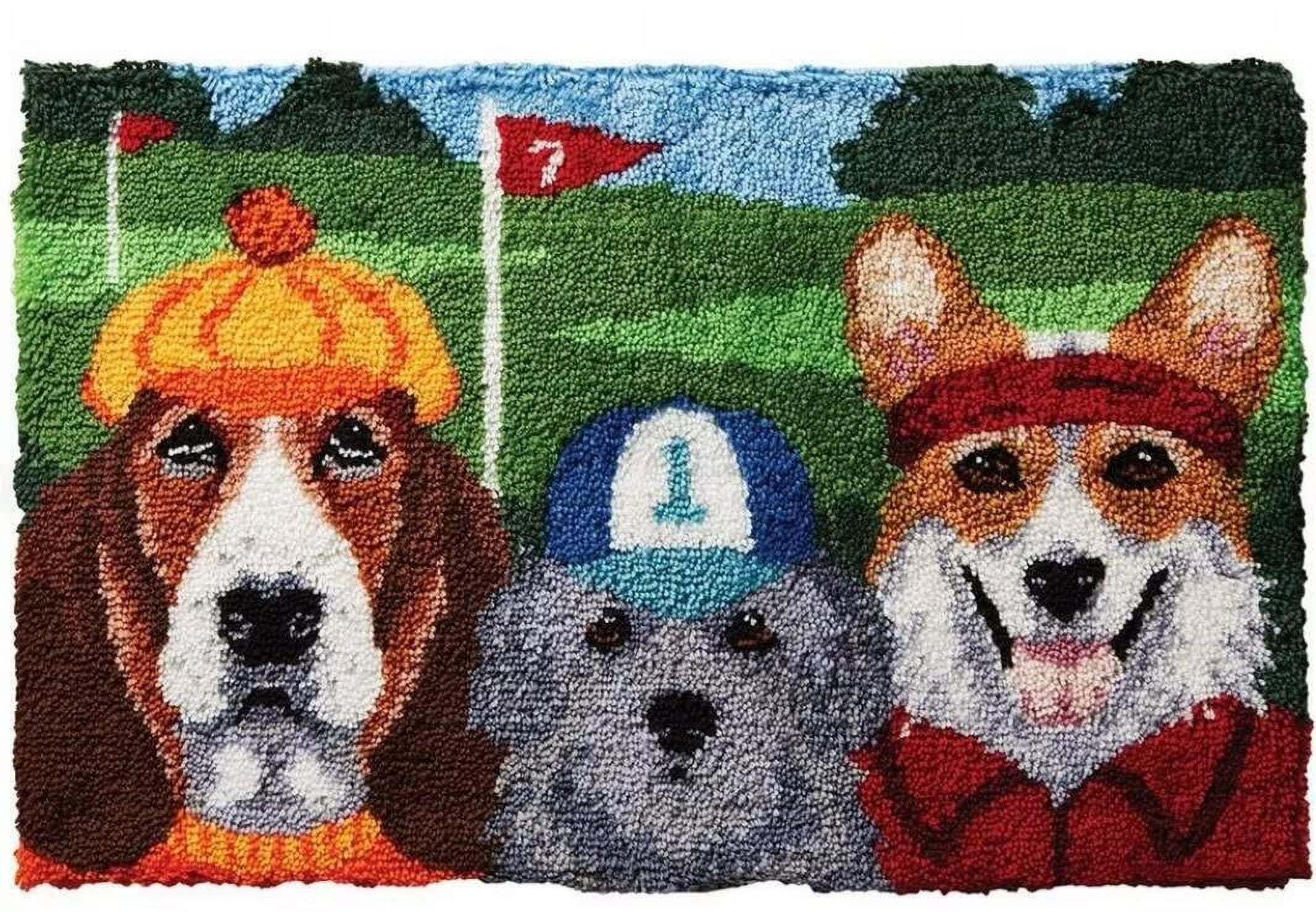 Latch Hook Rug Kits DIY Needlework Unfinished Crocheting Rug Kit with ...