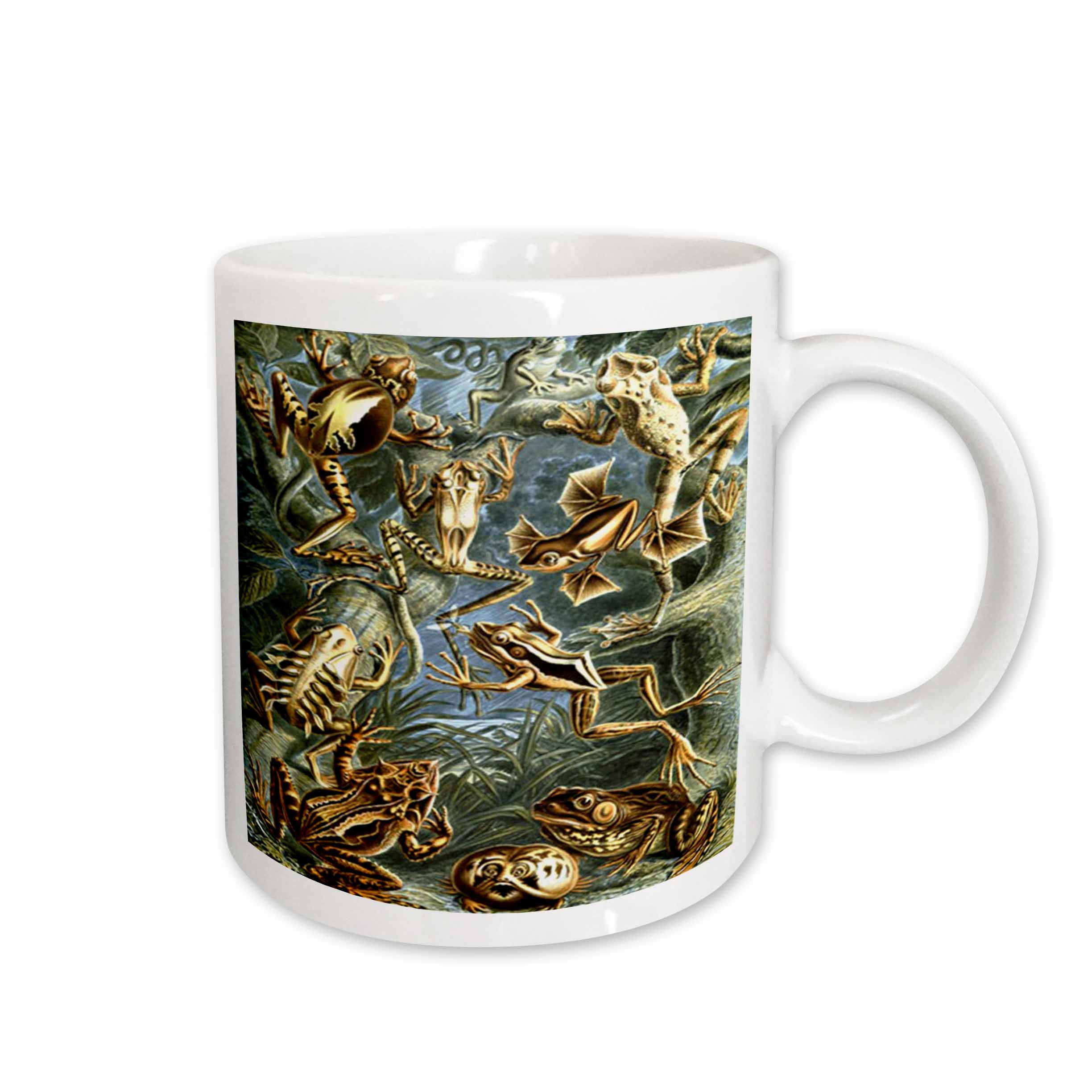 3drose, Late 1800 Famous Biologist Sketch of Frogs, 15oz Mug - Walmart.com