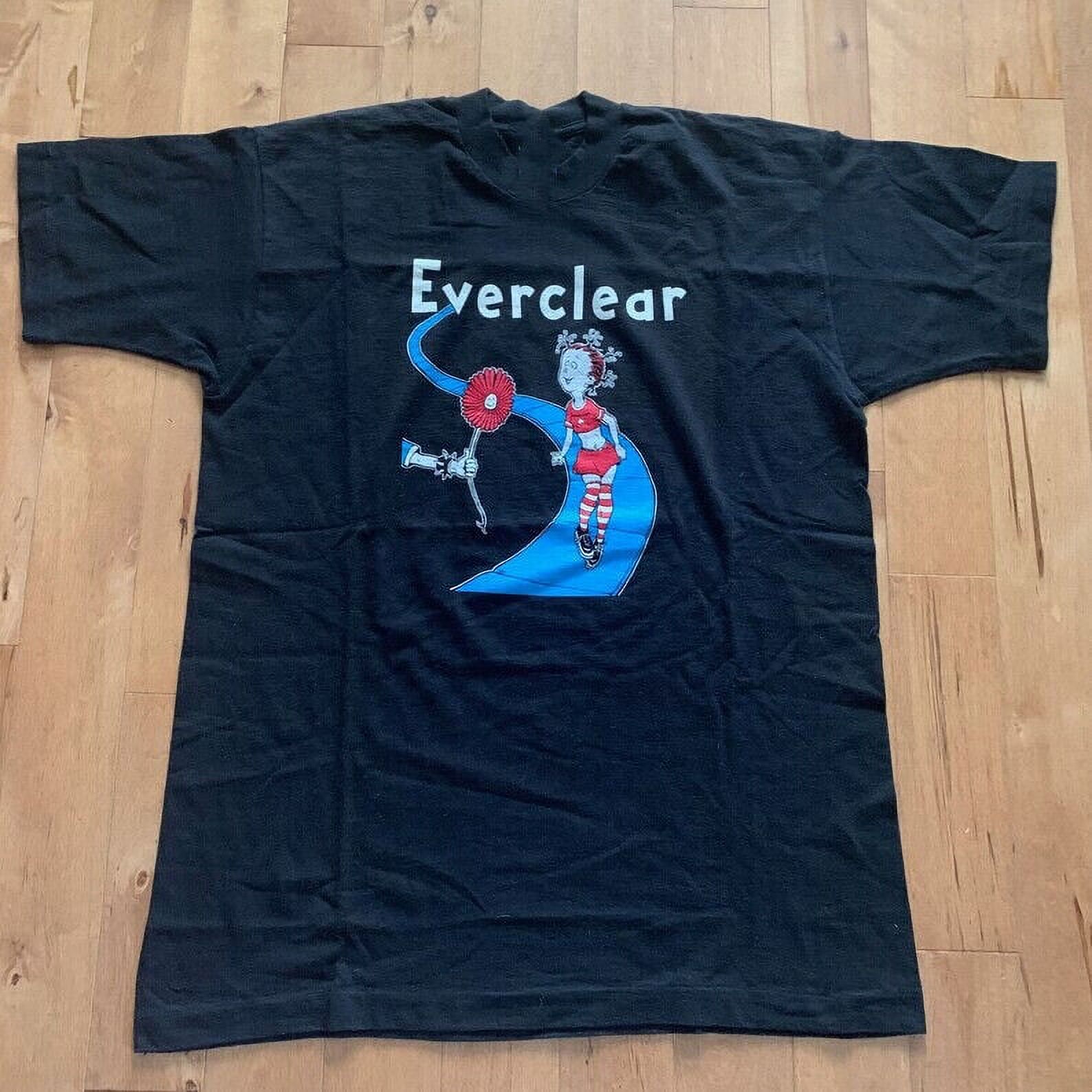 Late 90s Early 2000s Everclear Dr Seuss Style Band T-Shirt - Walmart.com