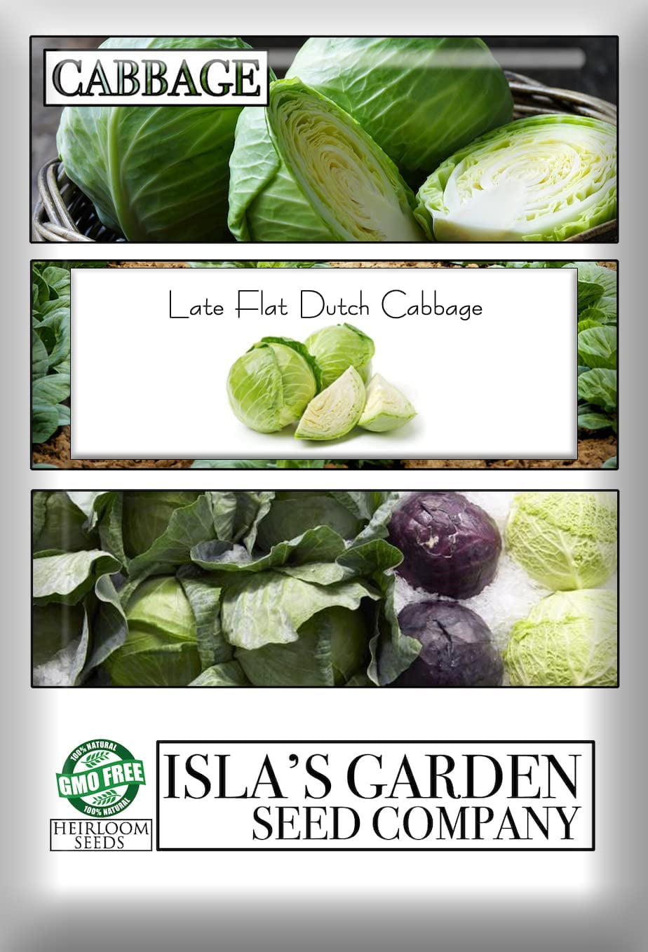 Late Flat Dutch Cabbage Seeds, 1000 Heirloom Seeds Per Packet, Non GMO ...