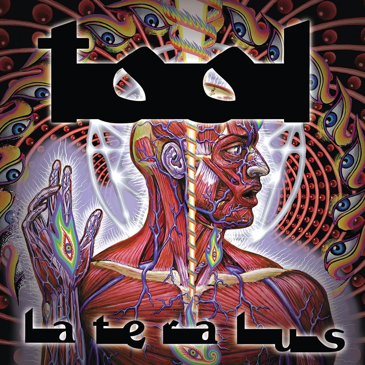 Lateralus - Tool - Alternative Metal - Album Cover POSTER - Walmart.com
