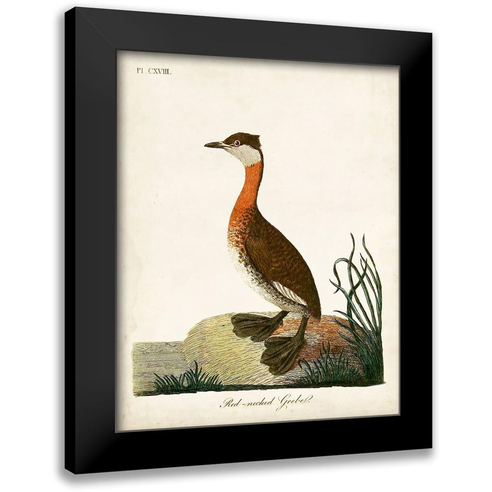 Latham, John 12x14 Black Modern Framed Museum Art Print Titled - Red ...