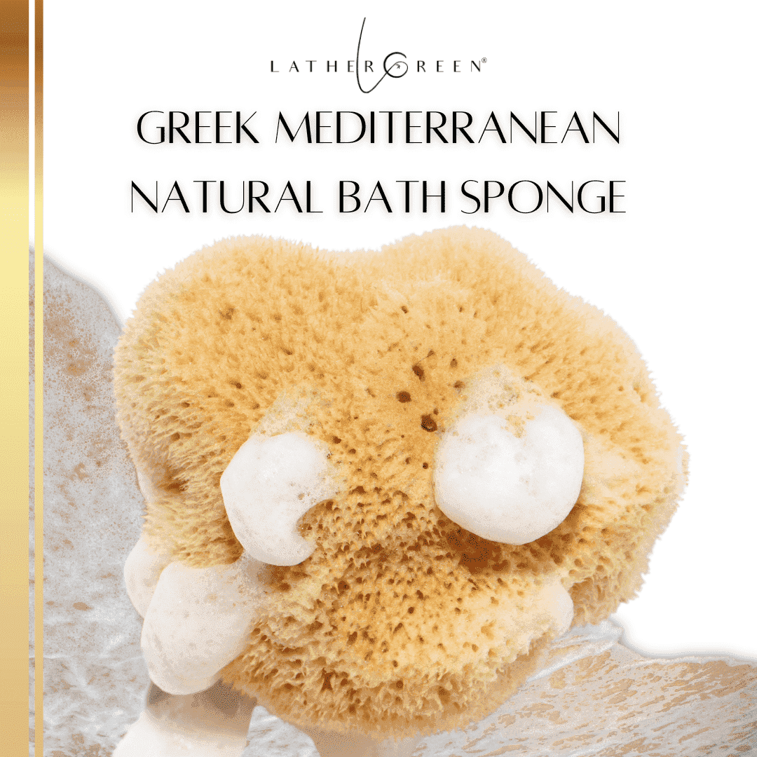Natural Sea Sponge for Bath and Body, Large Eco-Friendly Exfoliating ...