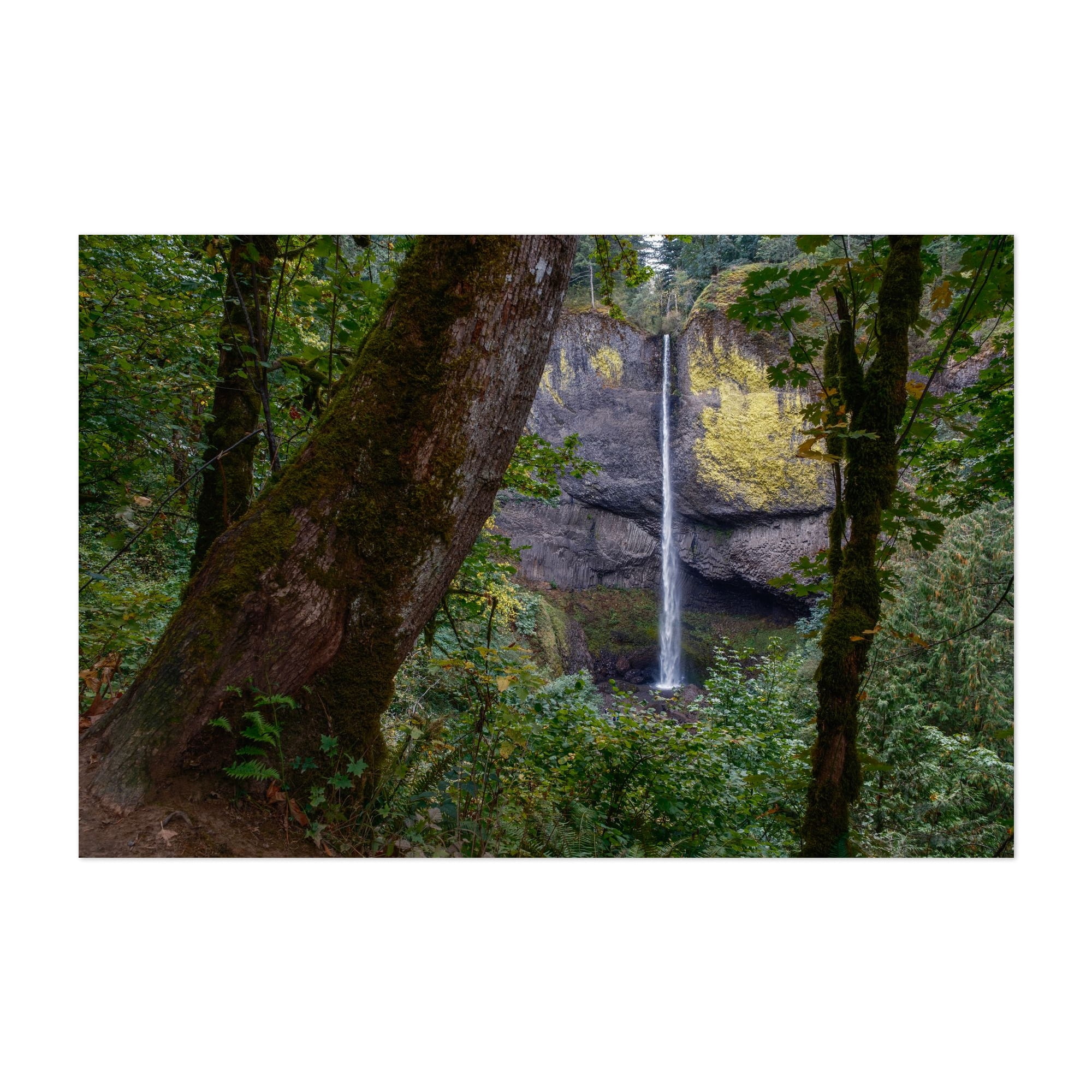Latourell Falls - Guy W. Talbot State Park Oregon Photography Waterfall ...