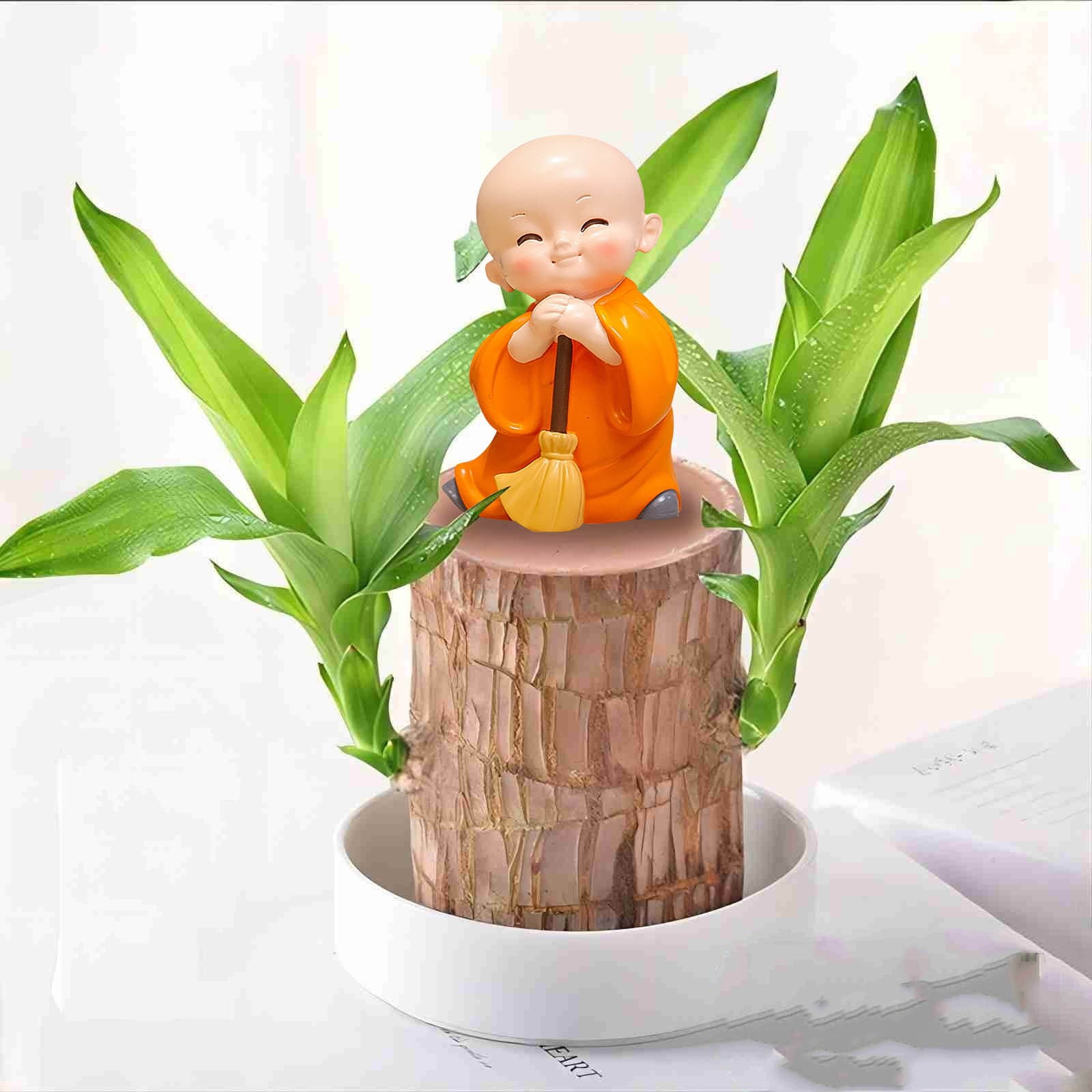 Latrodar Brazilian Lucky Wood Plant Statues Valentines Day Gifts for ...