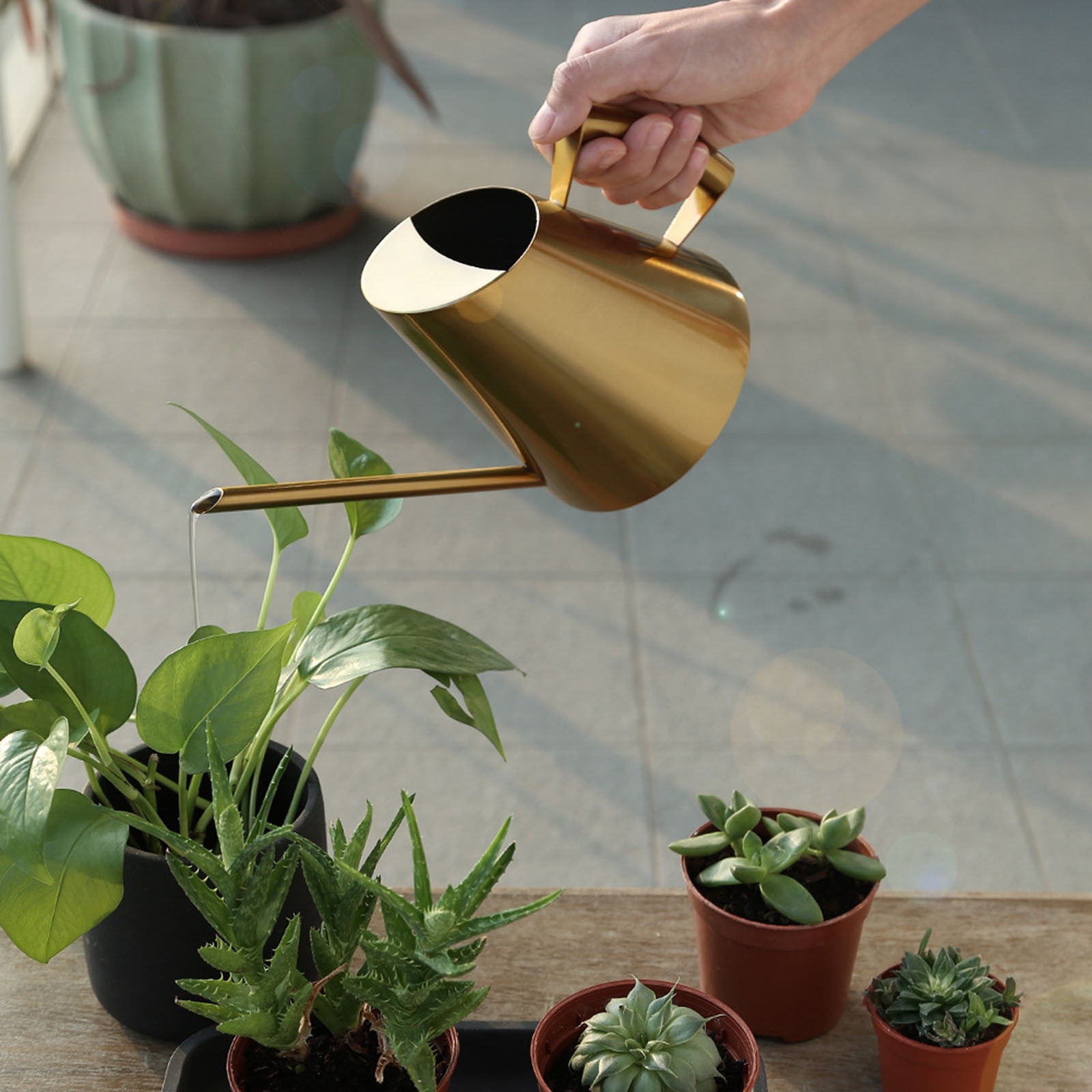 Latrodar Stainless Steel Watering Can - Metal Watering Can With Long ...